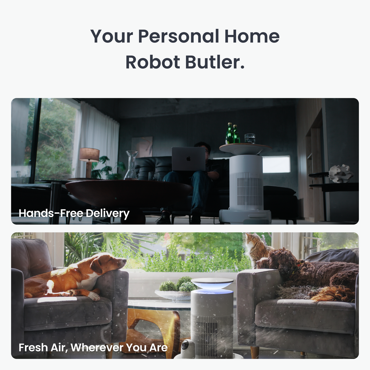 SwitchBot Mini Robot Vacuum K20+ Pro | The World’s First Multi-Tasking Home Robot – SwitchBot ...